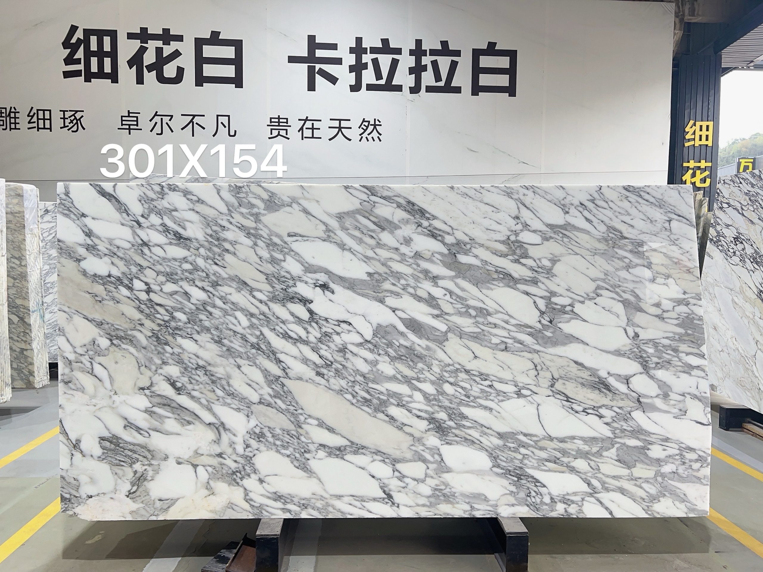 Arabescato Marble Slab - LanderStone
